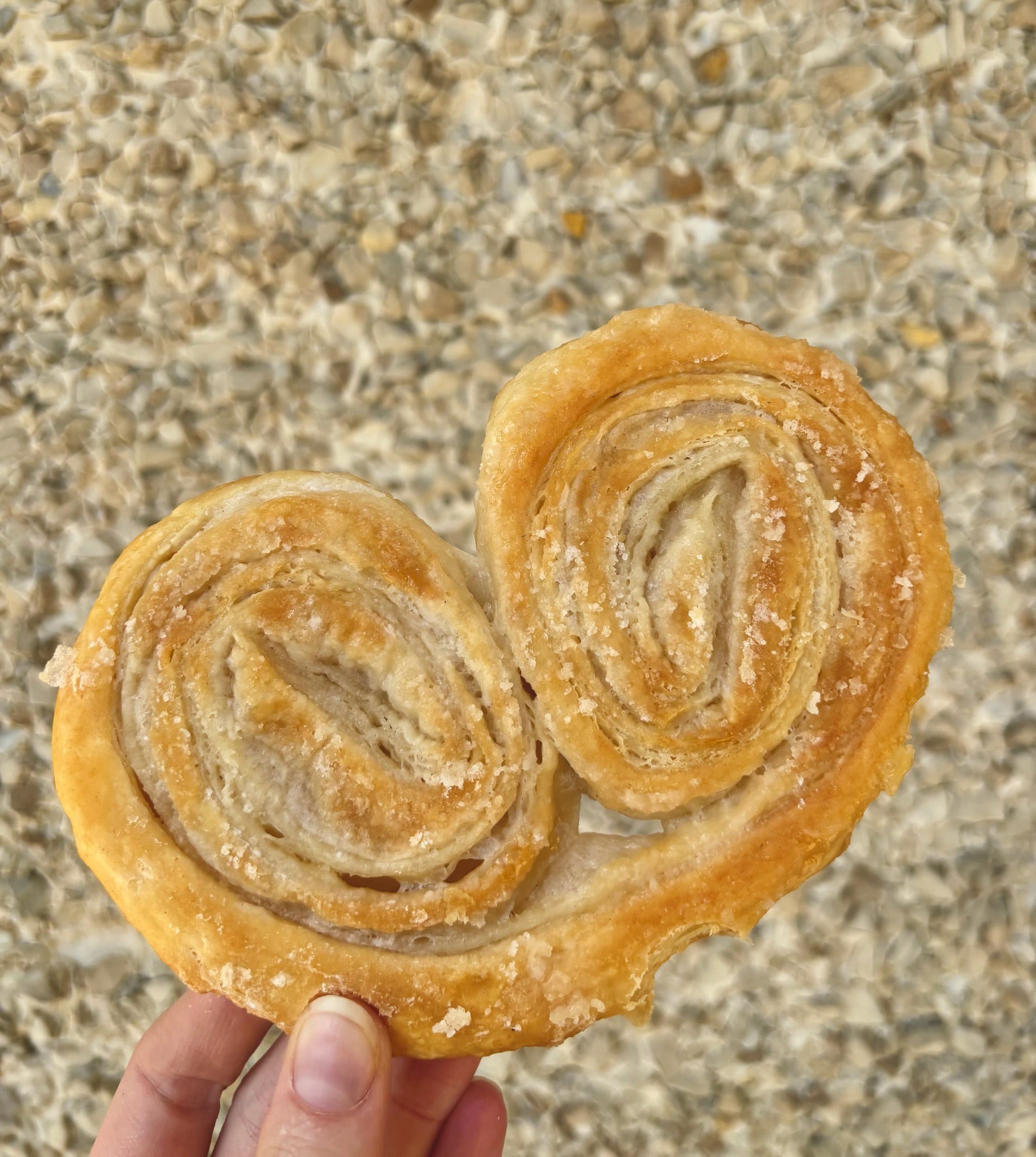 Elephant Ear | Colonial Bakery